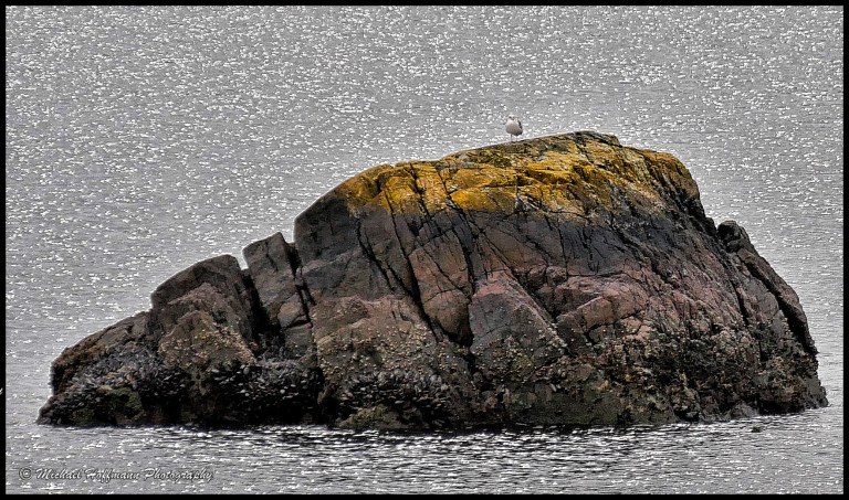 Seagull Rock – Michael Hoffmann Photography